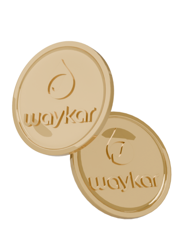 Shop Waykar Home & Commercial Dehumidifiers Online Free Shipping